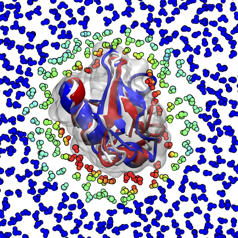 Protein Solvation Thermodynamics: The Unfolding Equilibrium (ENGLISH ...